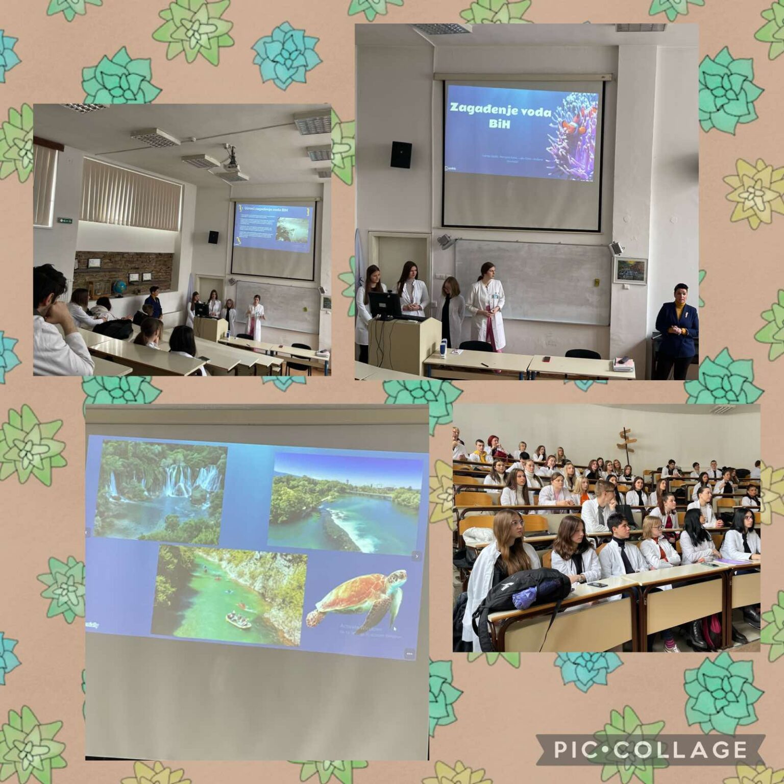 Ogledni čas iz predmeta Biologija – Srednja zubotehnička škola Sarajevo